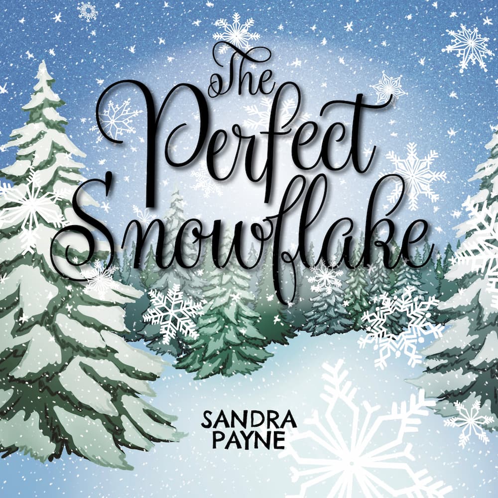 The Perfect Snowflake Book - Sandra Payne